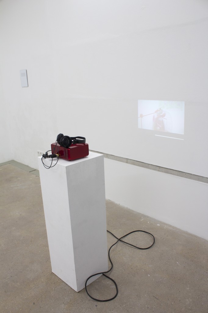 Orsolya Bajusz / Laura Yuile : MAUVE